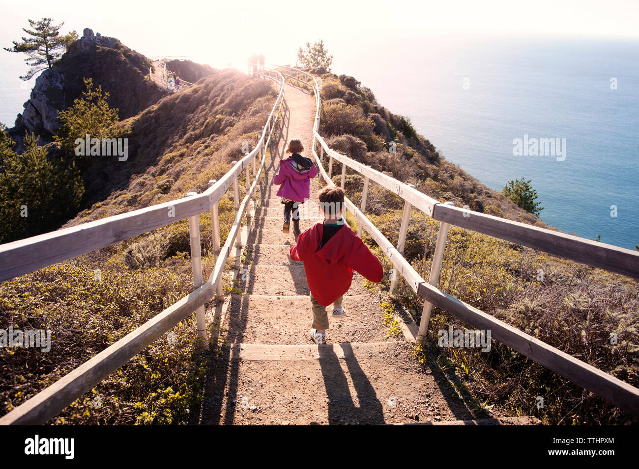 Rear view brother sister walking hi-res stock photography and images ...