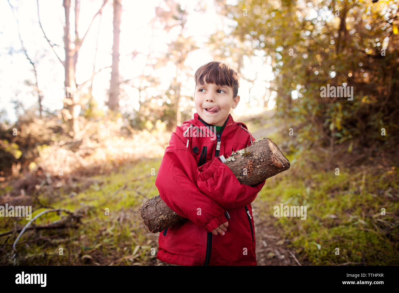 Boy looking away while holding log at forest Stock Photo - Alamy
