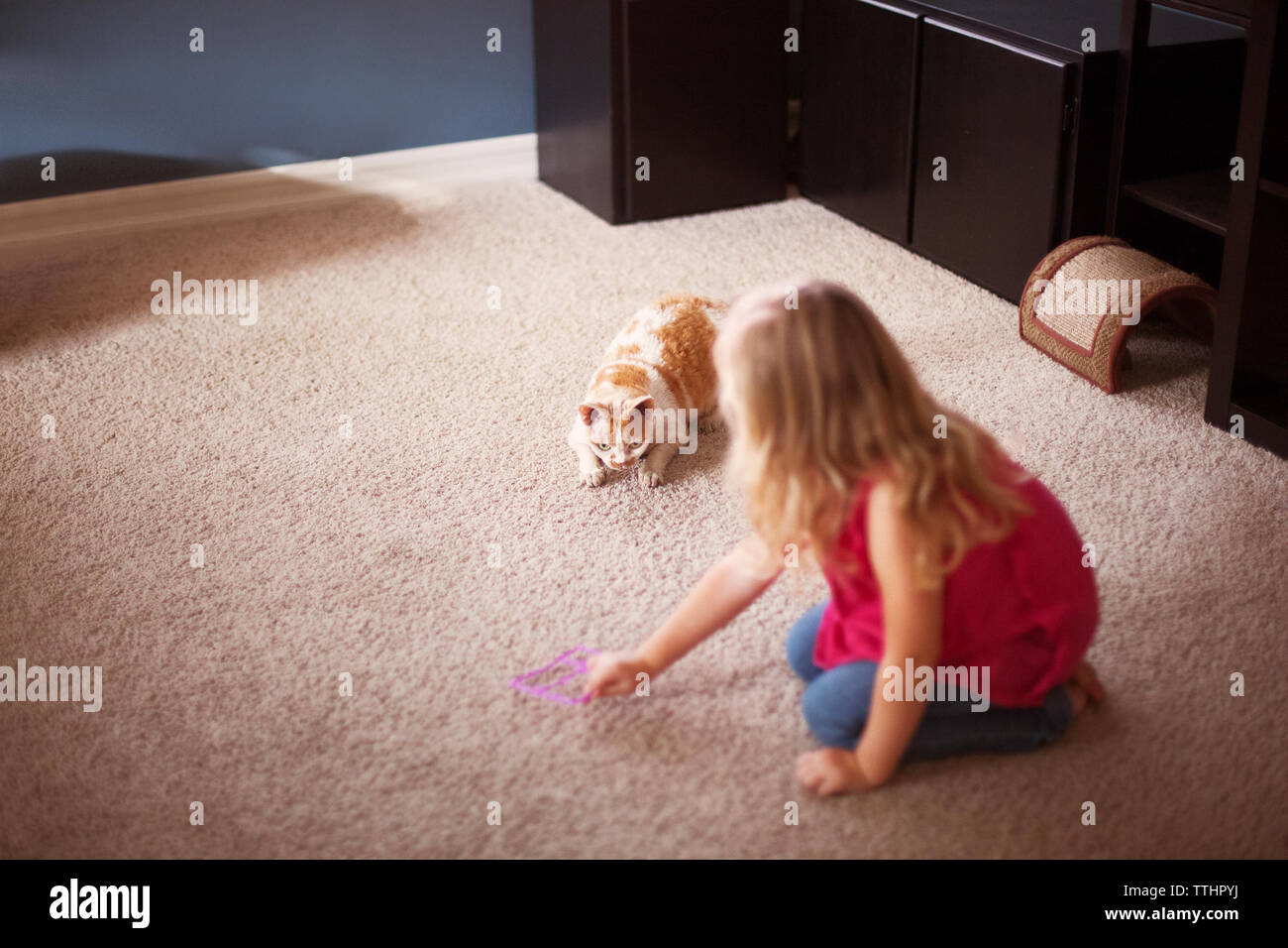 Side view of girl playing with cat hi-res stock photography and images ...