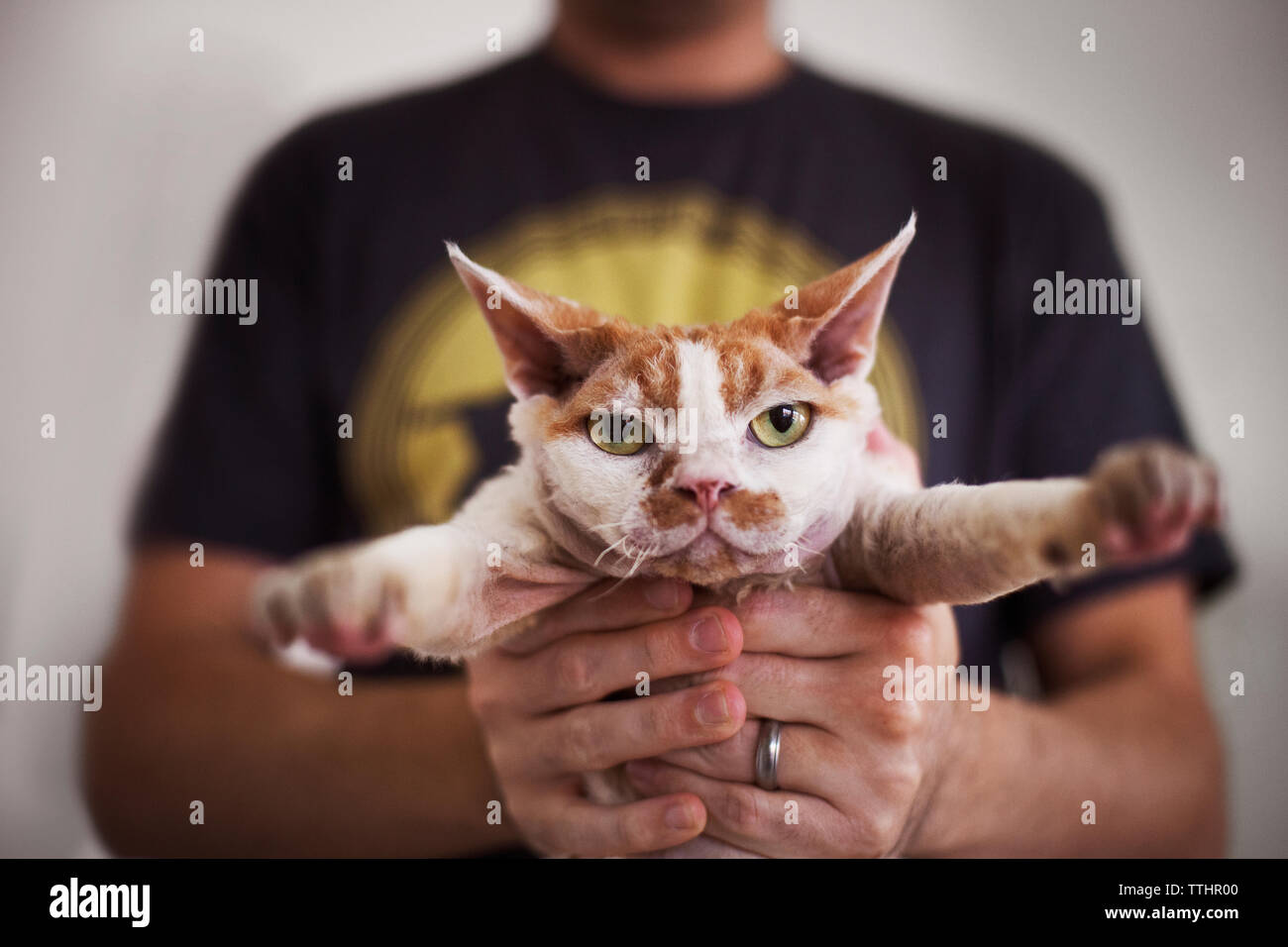 Midsection of man holding cat at home Stock Photo - Alamy