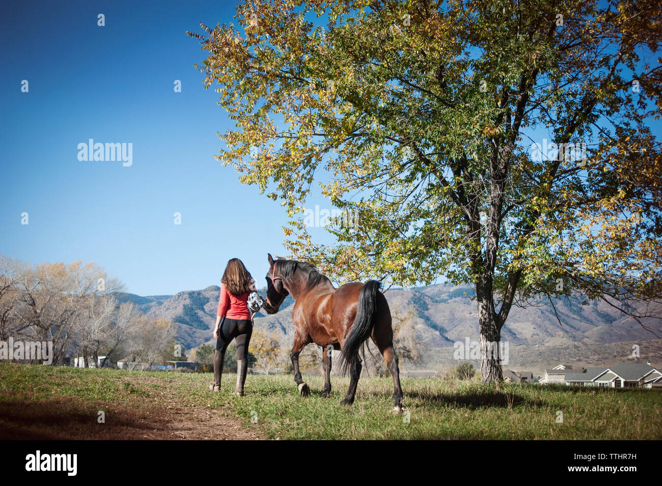 Rear view of woman walking with horse against clear sky Stock Photo - Alamy