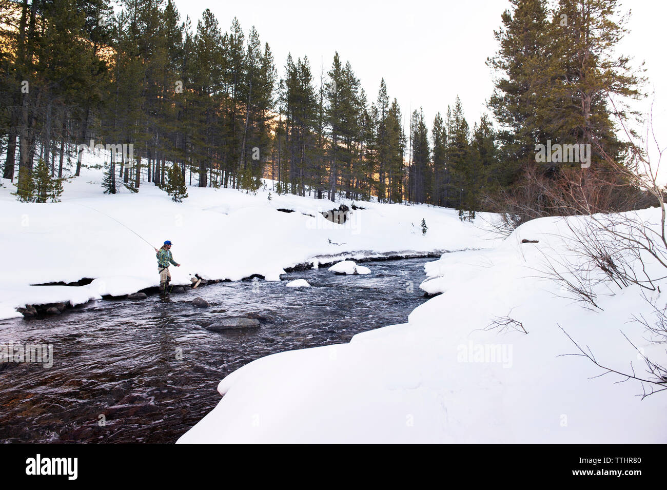 Man fly-fishing in river amidst snow covered land Stock Photo - Alamy