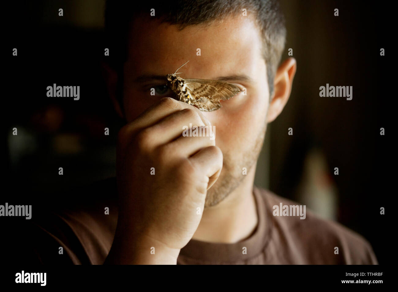 Moth face close up hi-res stock photography and images - Alamy