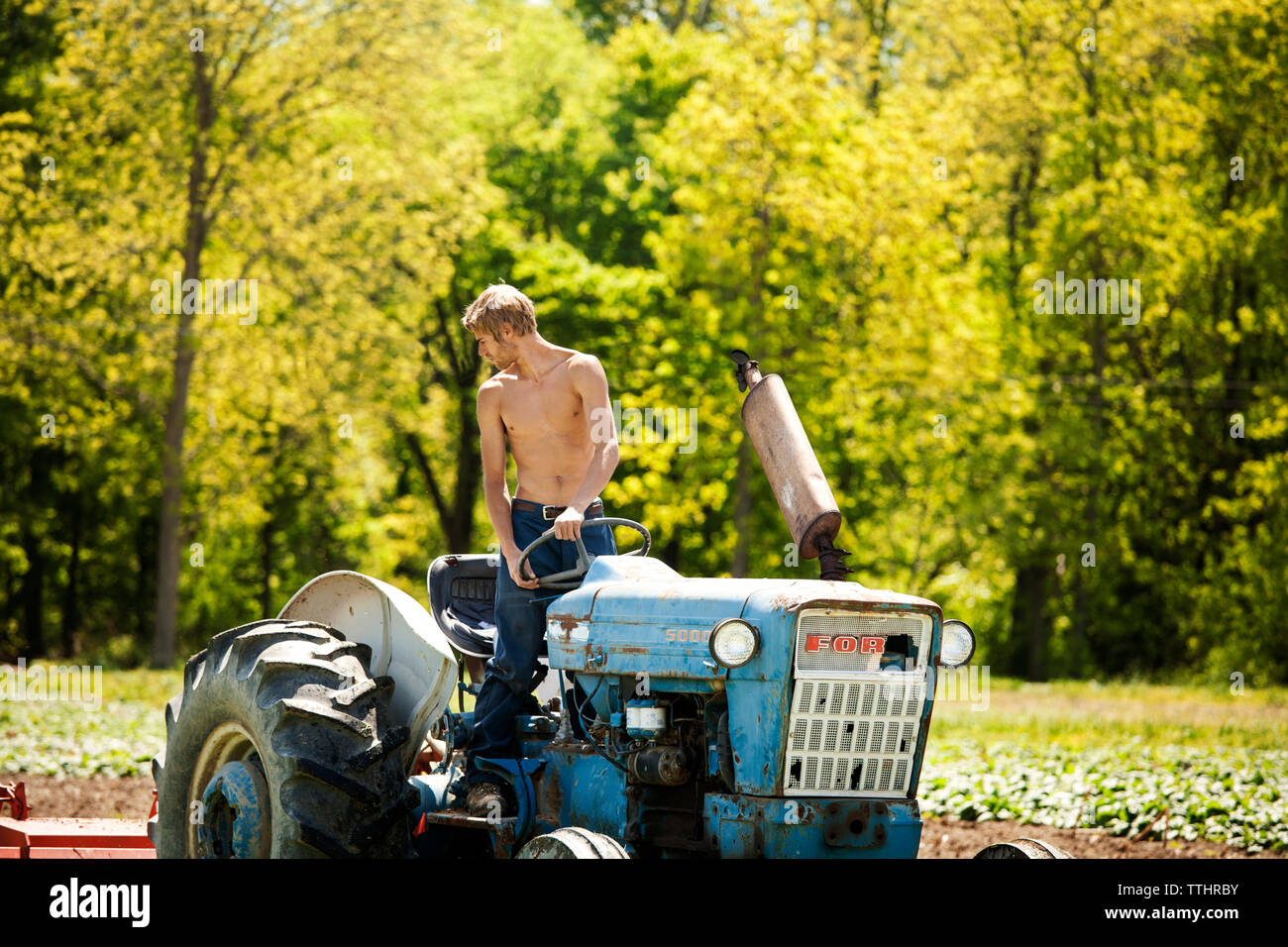 Farmer riding tractor on field against trees Stock Photo - Alamy