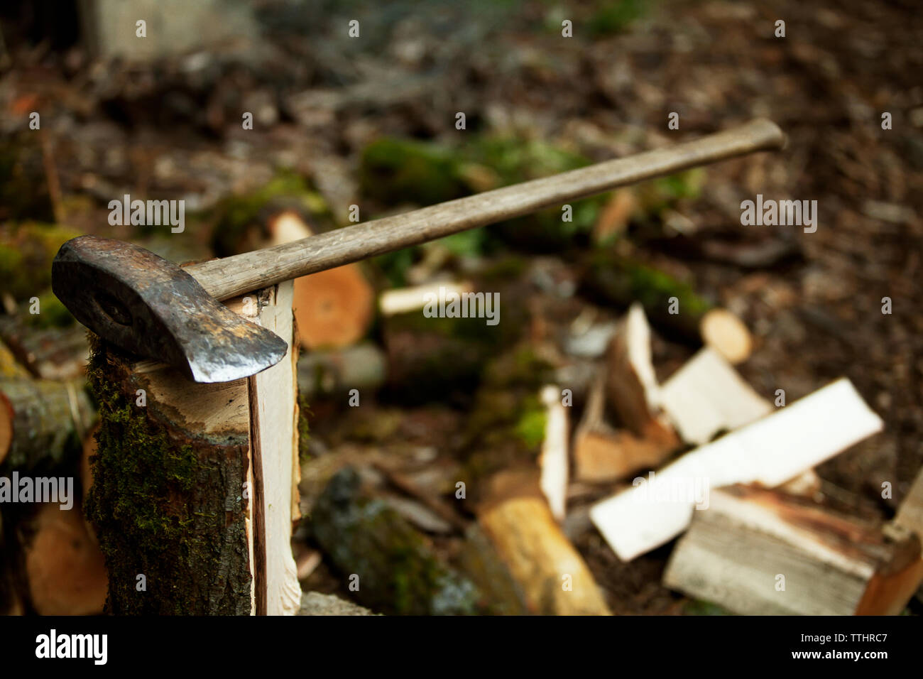 Forest axe hi-res stock photography and images - Alamy