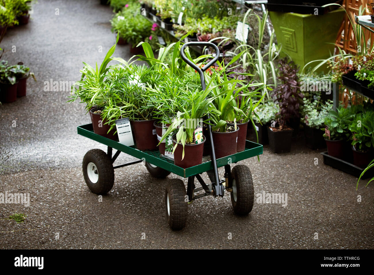 Push cart hi-res stock photography and images - Alamy