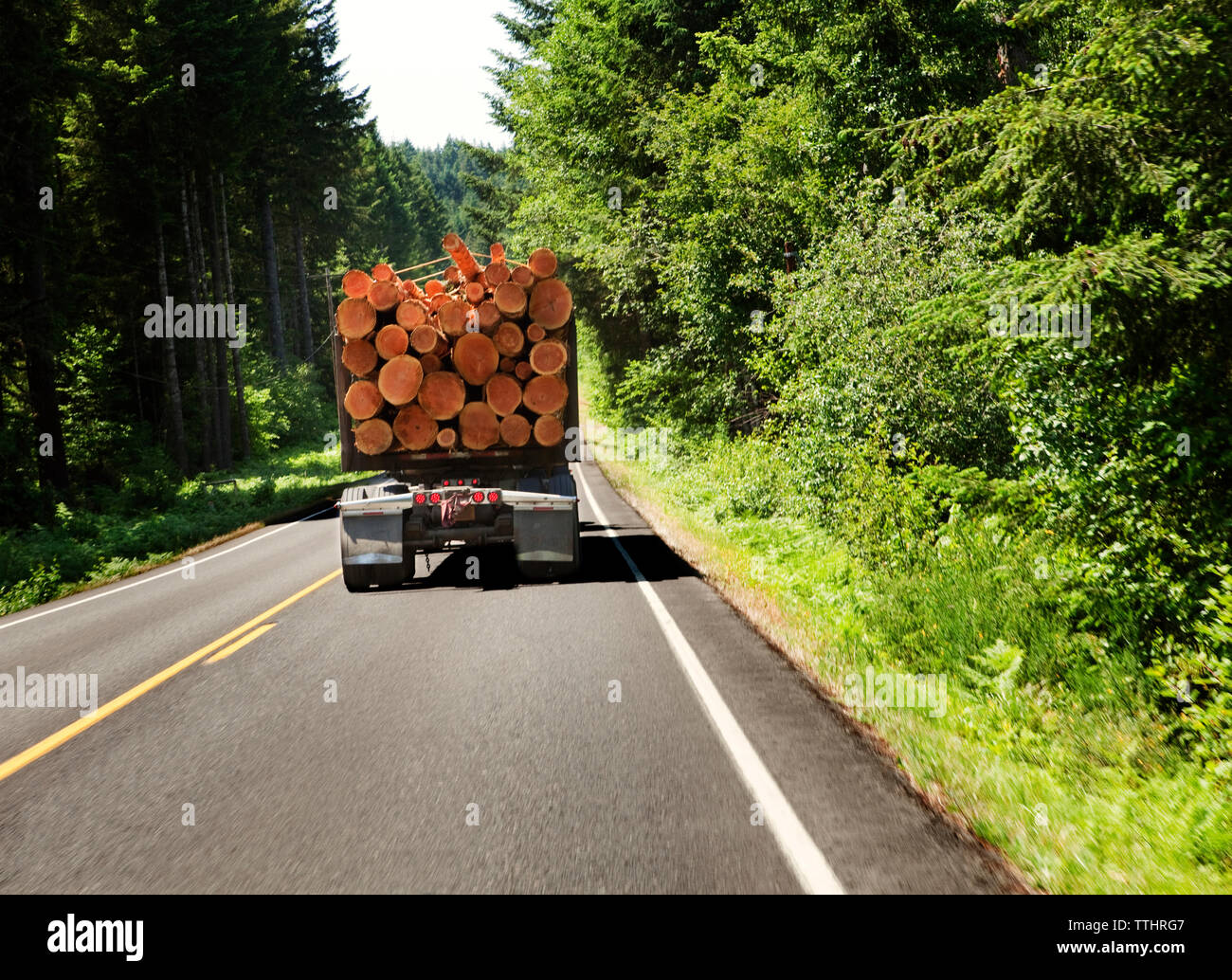 Logs in truck on road Stock Photo - Alamy