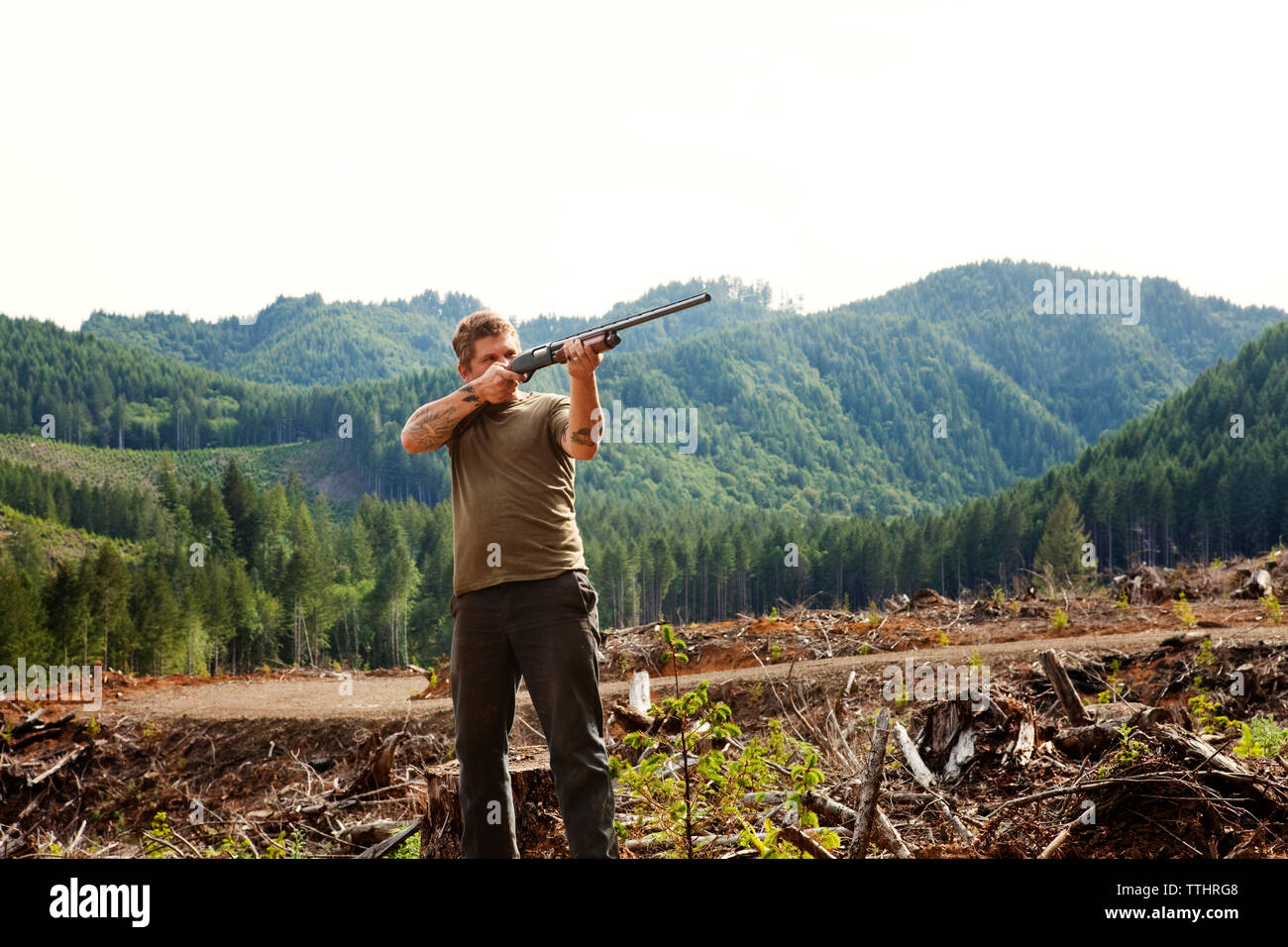 Aiming into clear sky hi-res stock photography and images - Alamy