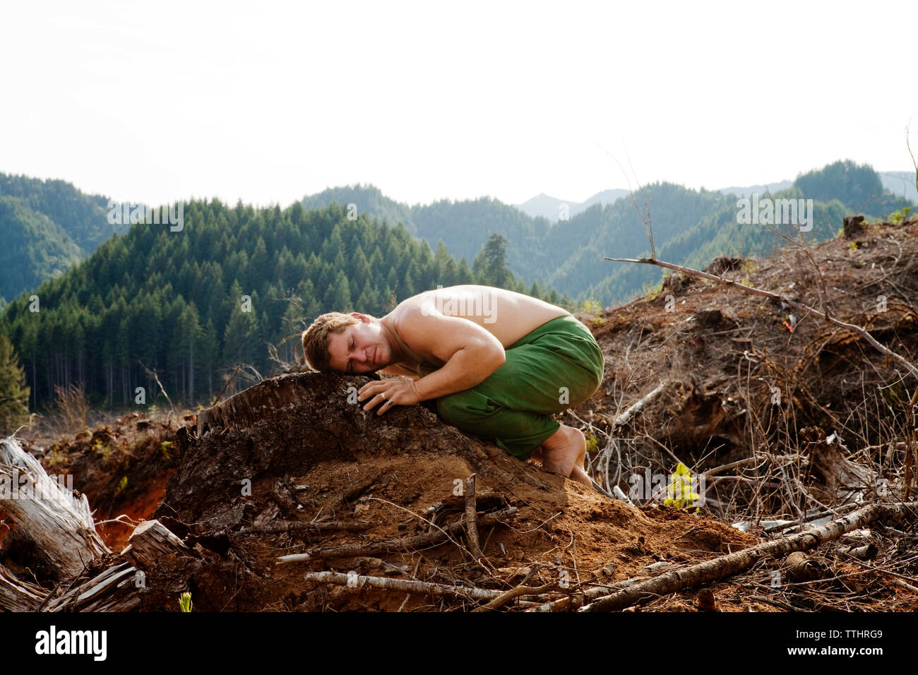 Old man tree stump hi-res stock photography and images - Alamy
