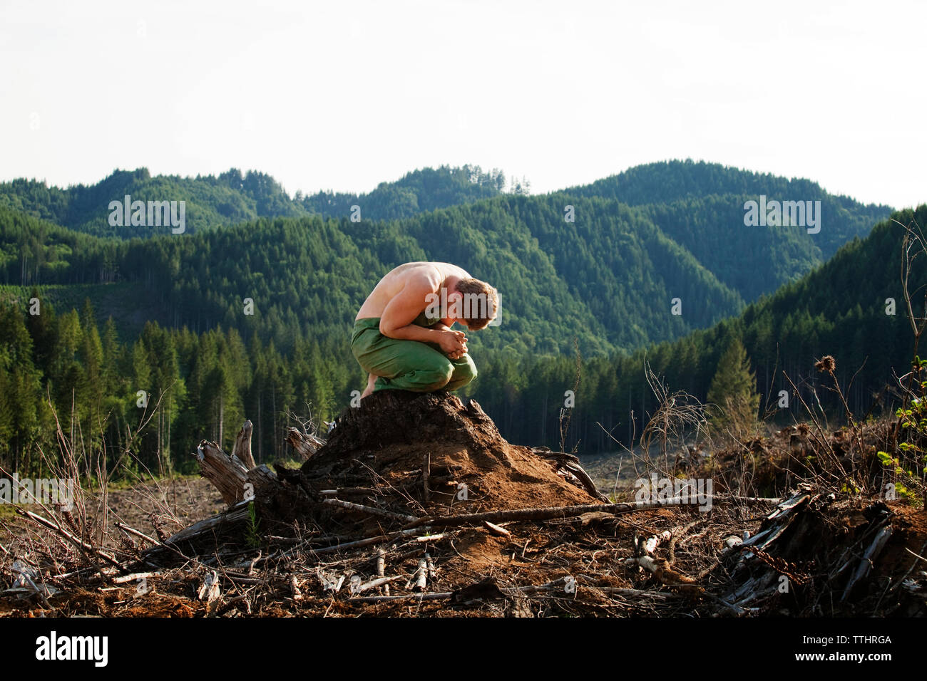 Old man tree stump hi-res stock photography and images - Alamy