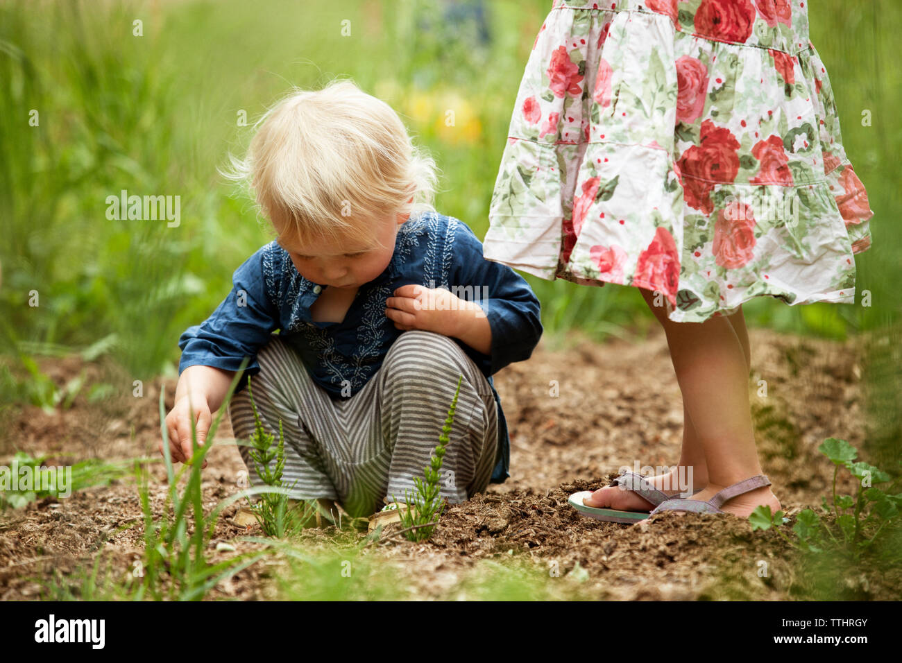 Curious boy looking down while crouching by sister standing on field ...