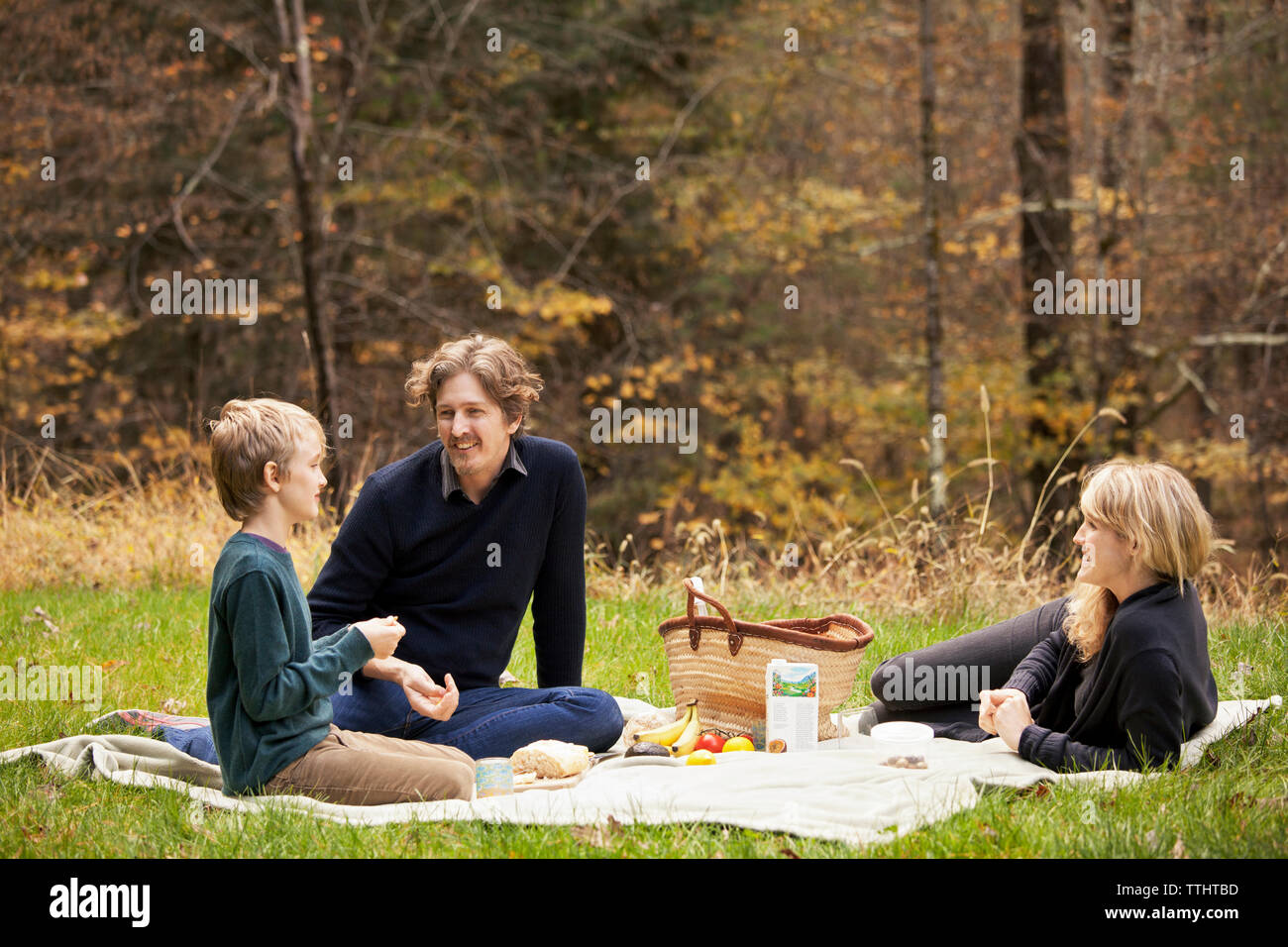 Family enjoying picnic on grassy field Stock Photo - Alamy