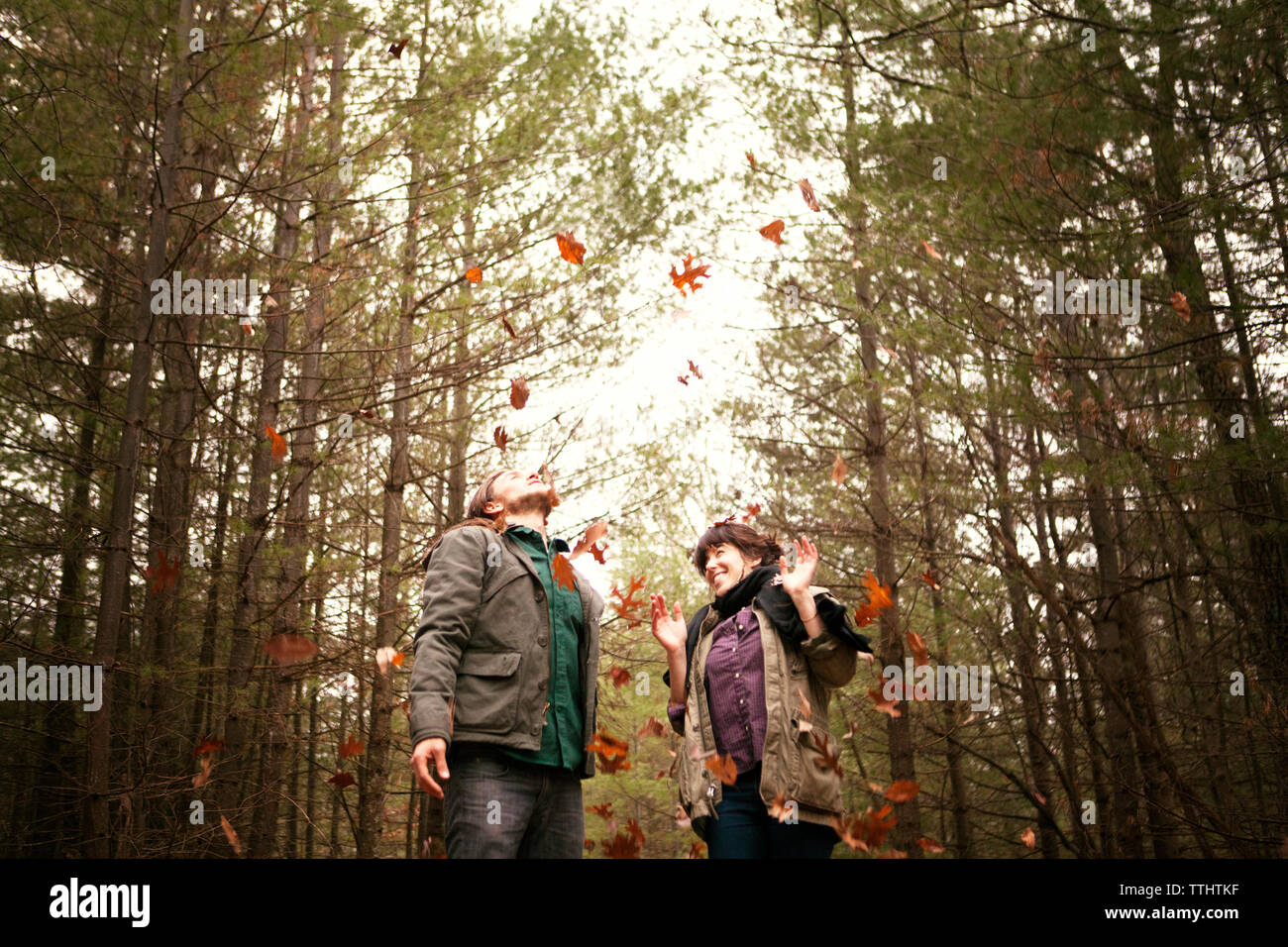 Low angle view of couple enjoying forest Stock Photo - Alamy