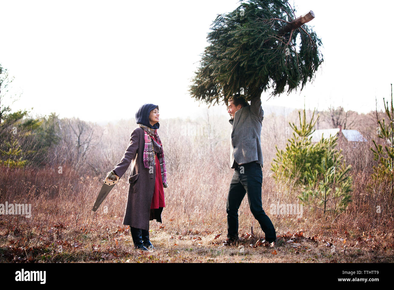 Man carrying pine tree while woman holding saw against clear sky Stock ...