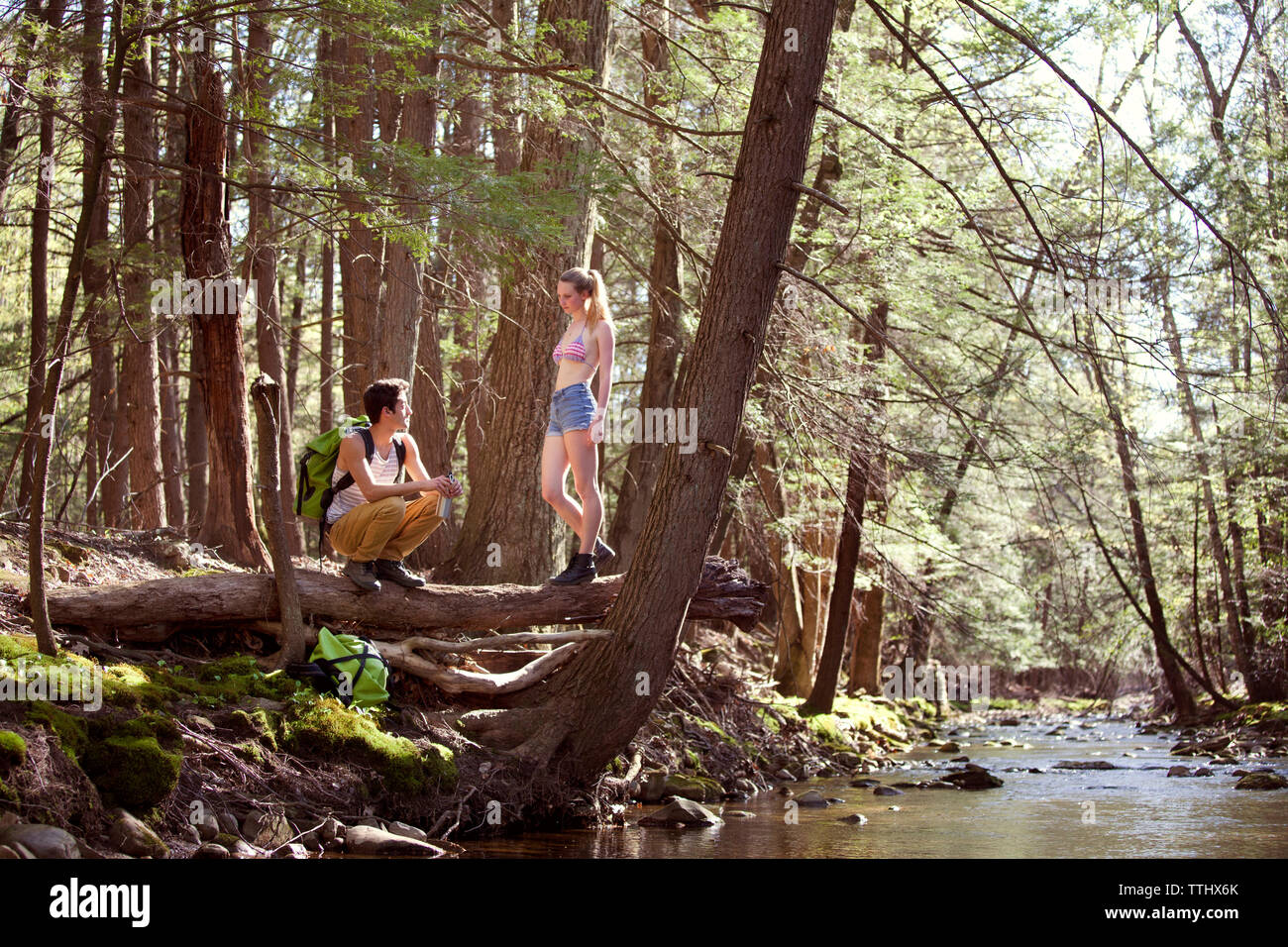 Woman looking at man crouching on fallen tree trunk Stock Photo - Alamy