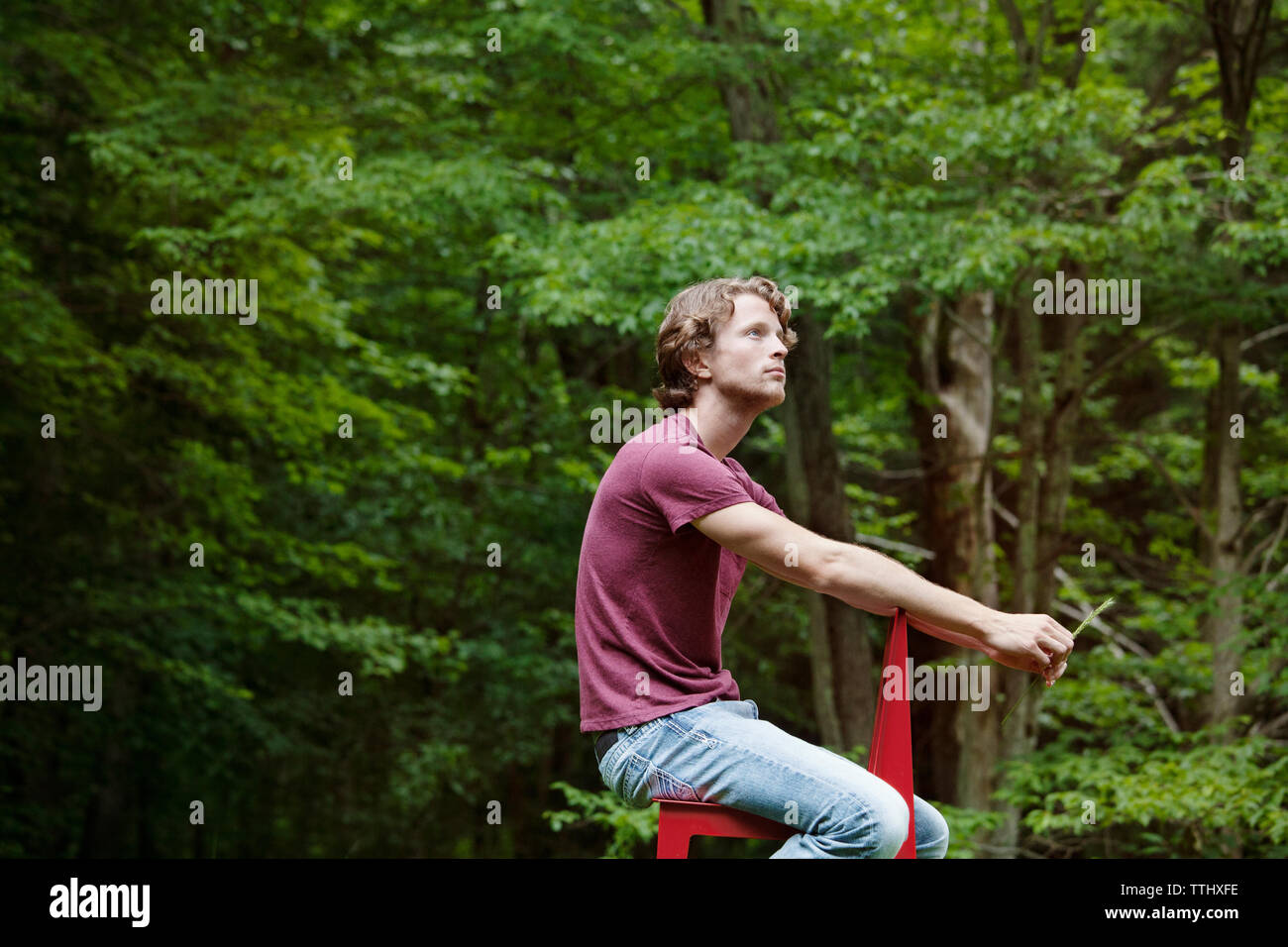 Side view of man sitting on chair against trees Stock Photo - Alamy