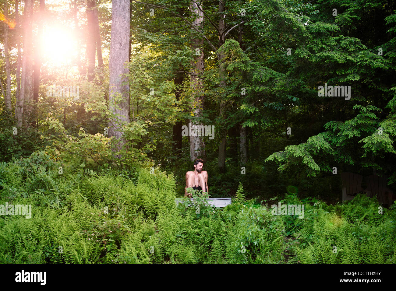 Relaxing trees hi-res stock photography and images - Alamy