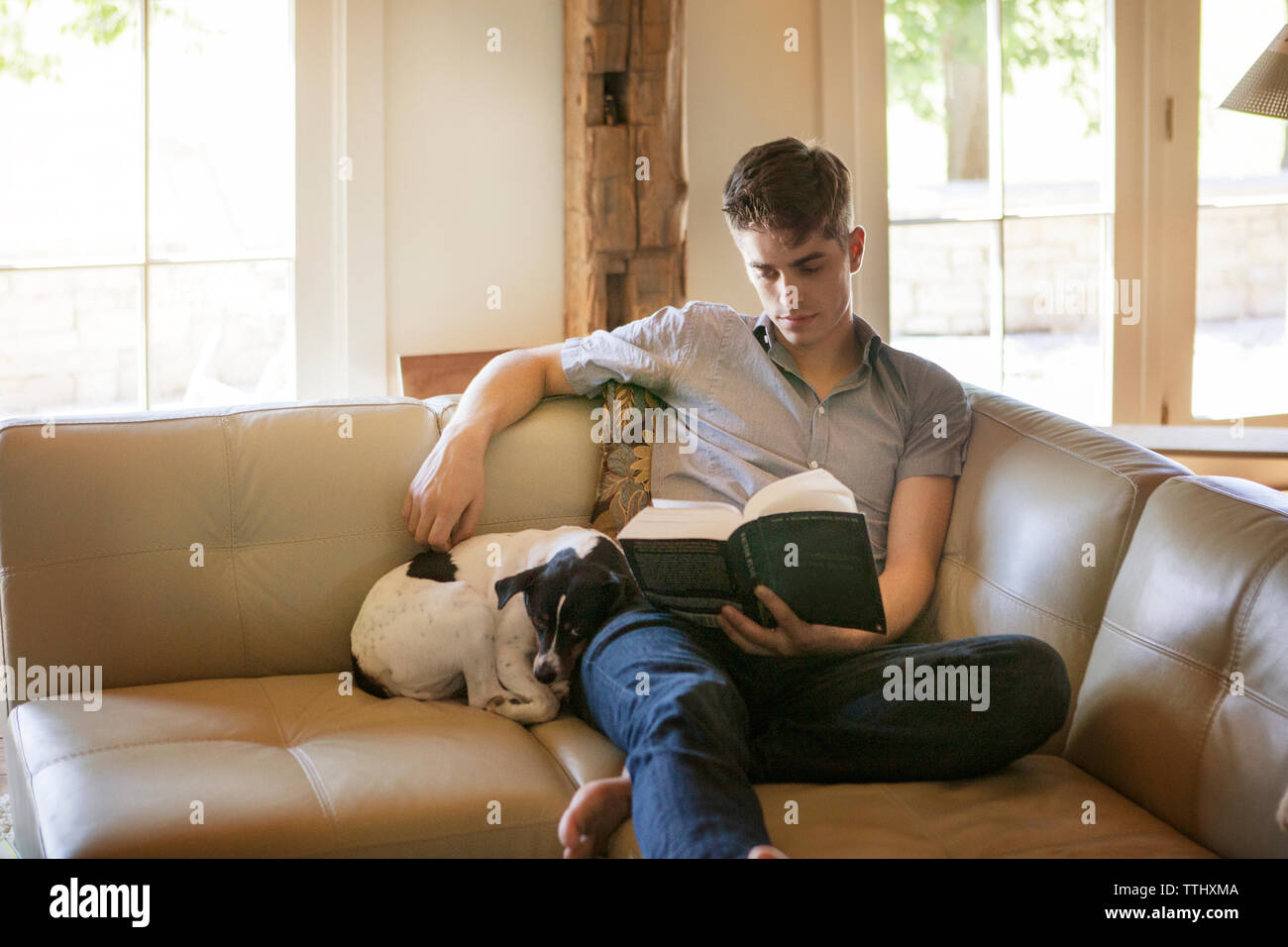 Dog man book hi-res stock photography and images - Alamy