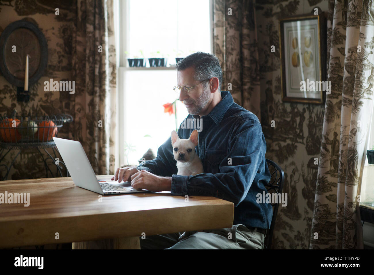 Bulldog sitting down hi-res stock photography and images - Alamy