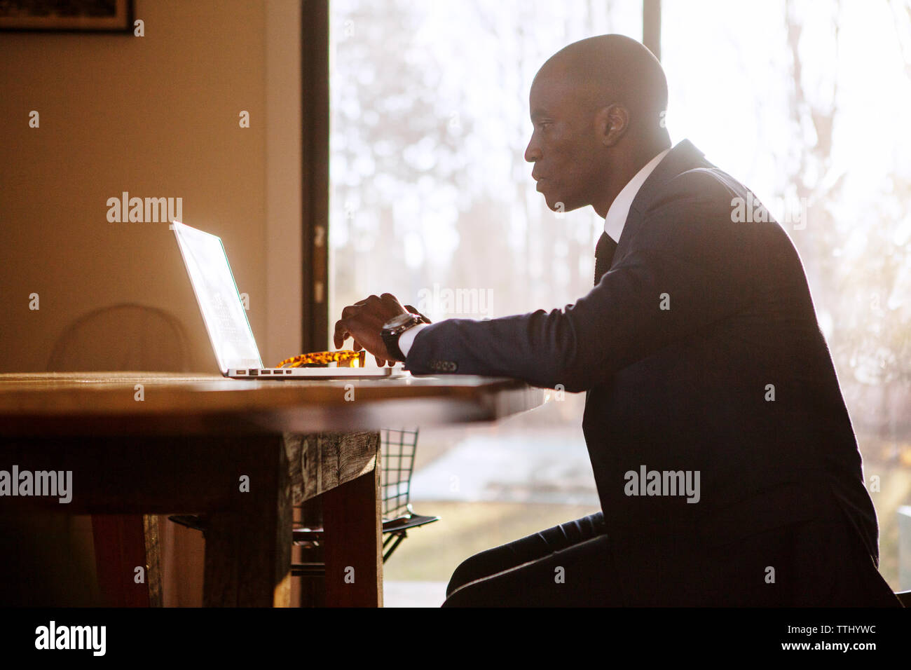 Side view of man using laptop computer at home Stock Photo - Alamy