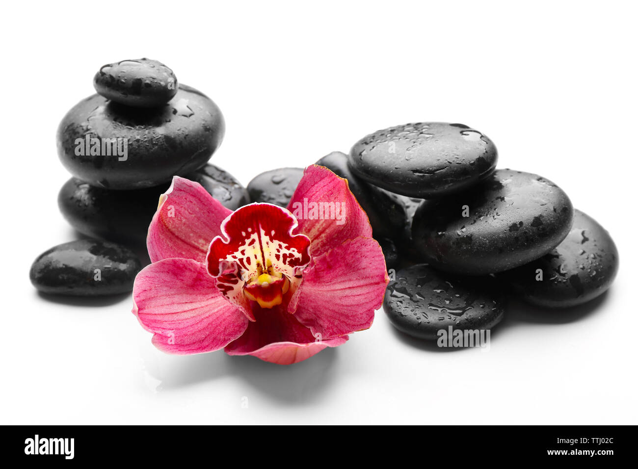 Spa stones and red orchid isolated on white Stock Photo - Alamy