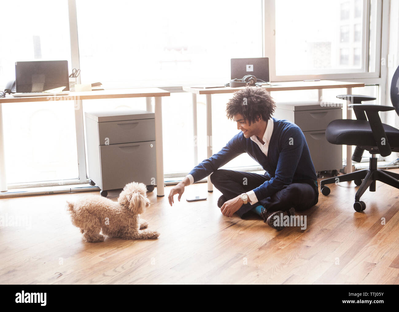 Man and his poodle hi-res stock photography and images - Alamy