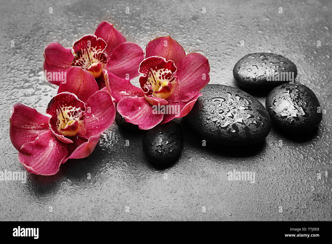 Spa stones and red orchid on grey background Stock Photo - Alamy