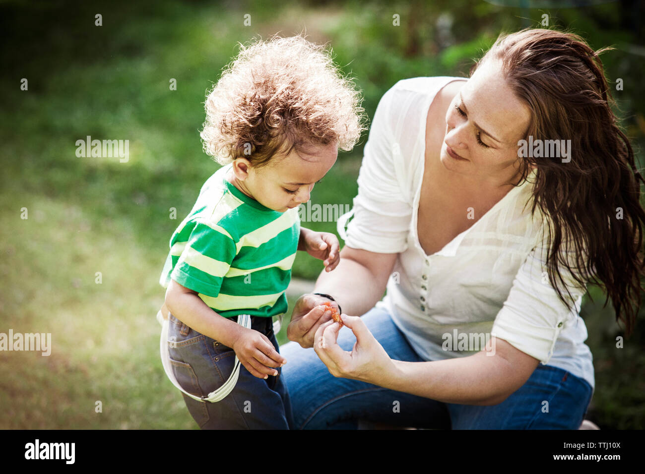 Mother giving cherry tomato to son at backyard Stock Photo - Alamy