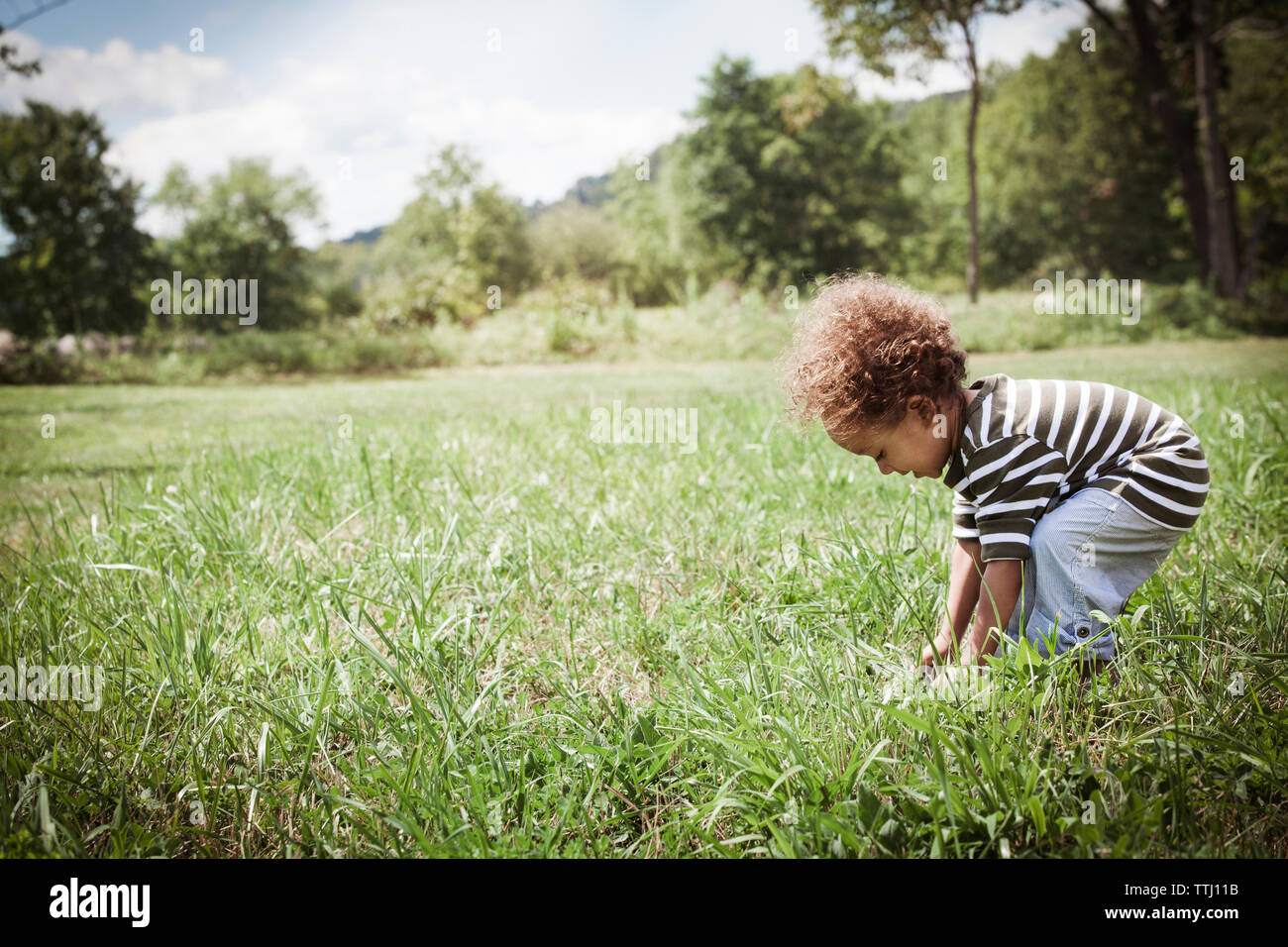 Playing field grass hi-res stock photography and images - Alamy