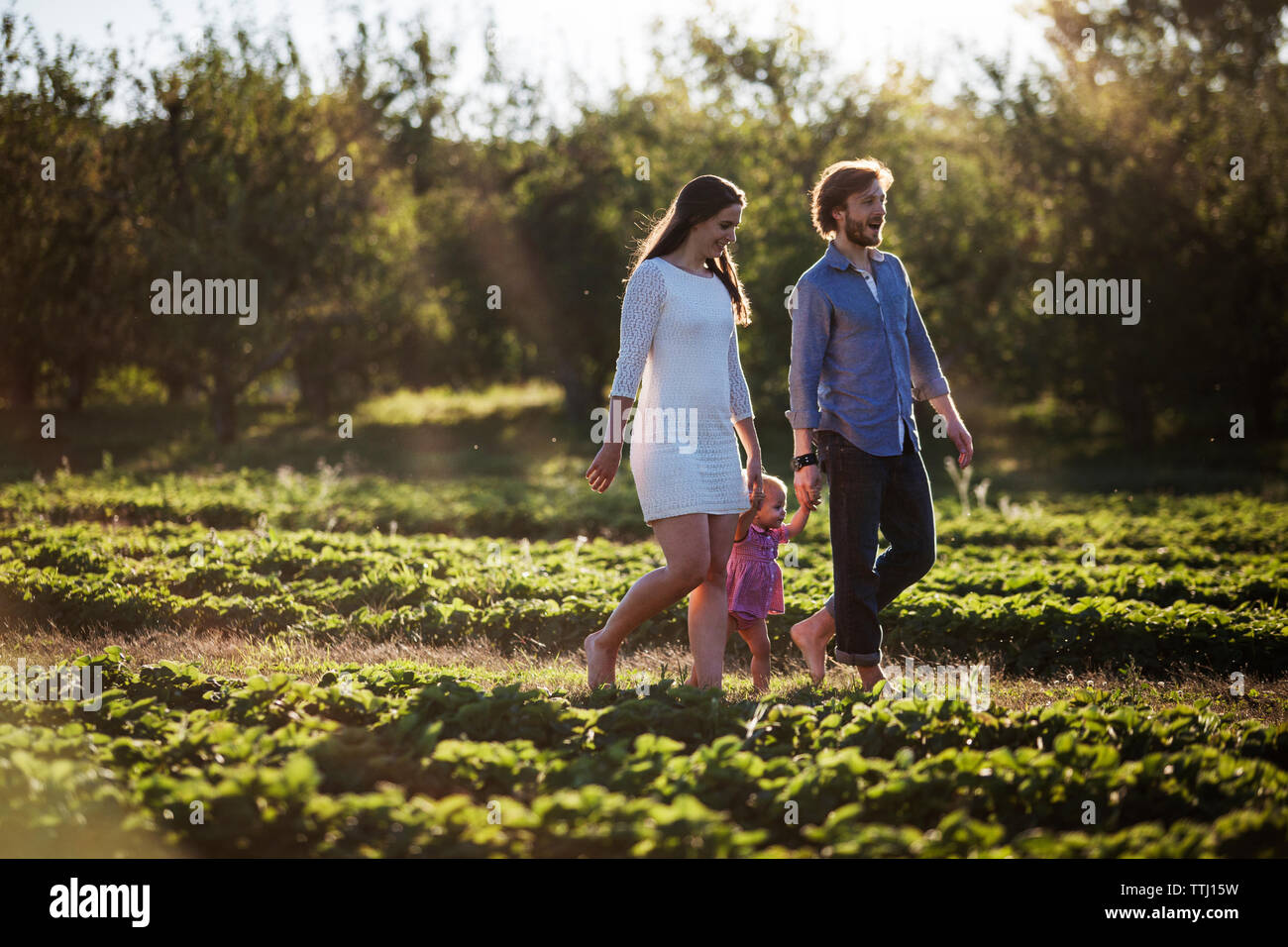Family group walking together hi-res stock photography and images - Alamy