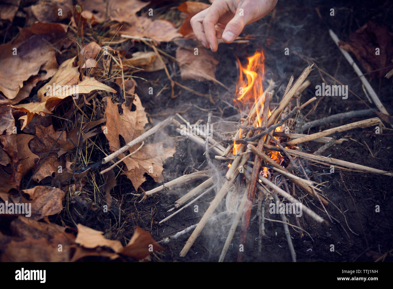 Burning forest hi-res stock photography and images - Alamy