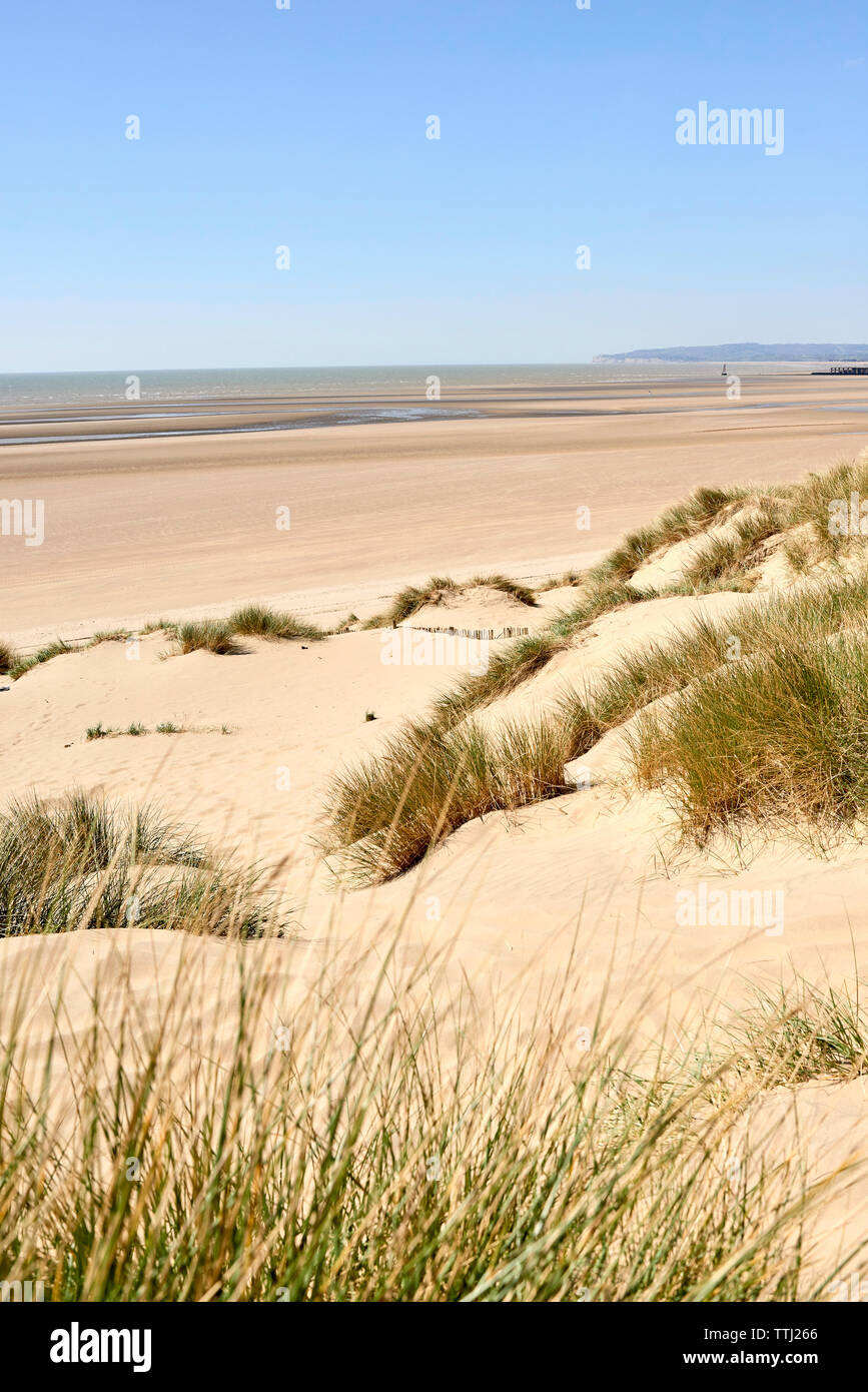 Sand dunes in Camber Sands, UK Stock Photo - Alamy