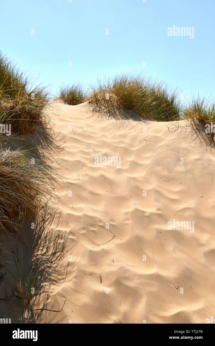 Sand dunes in Camber Sands, UK Stock Photo - Alamy
