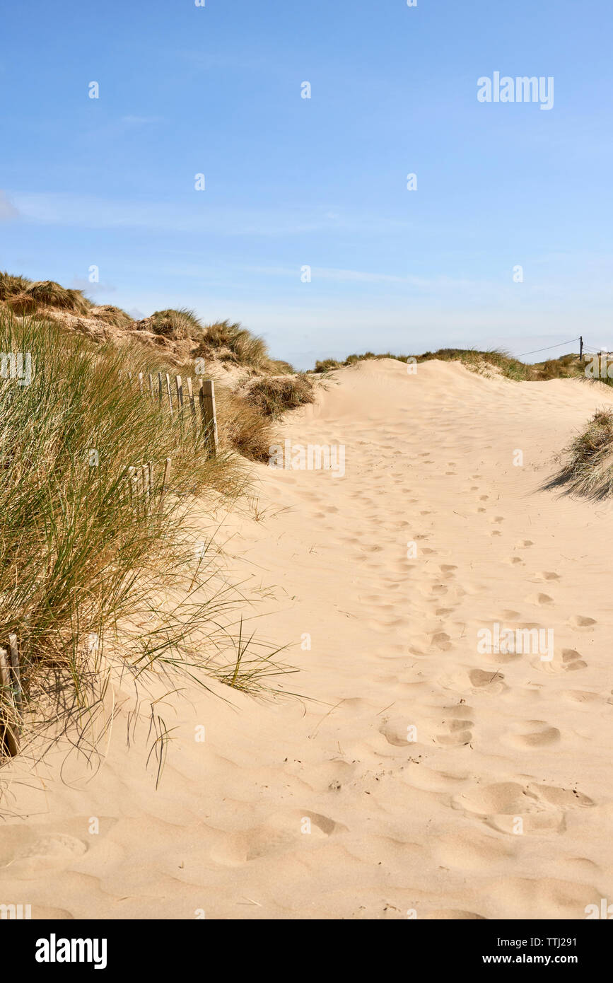 Sand dunes in Camber Sands, UK Stock Photo - Alamy