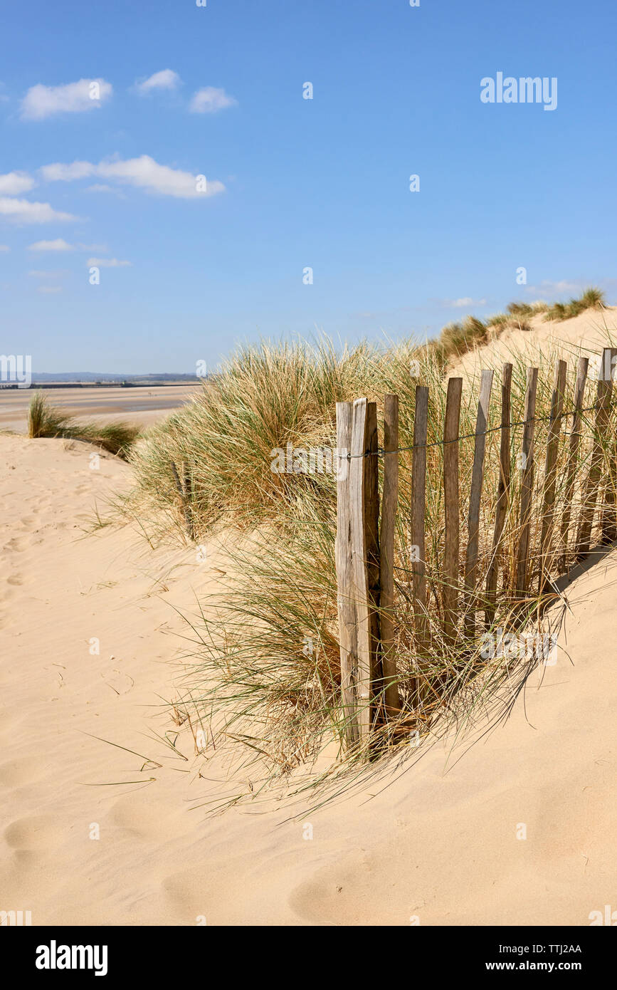 Sand dunes in Camber Sands, UK Stock Photo - Alamy