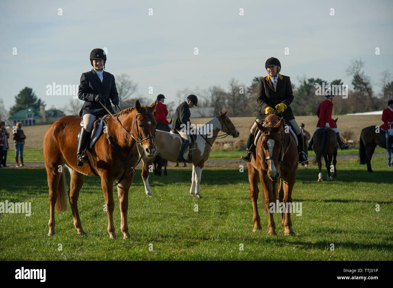 UNITED STATES - November 26, 2015: Loudoun Fairfax Hunt held the ...