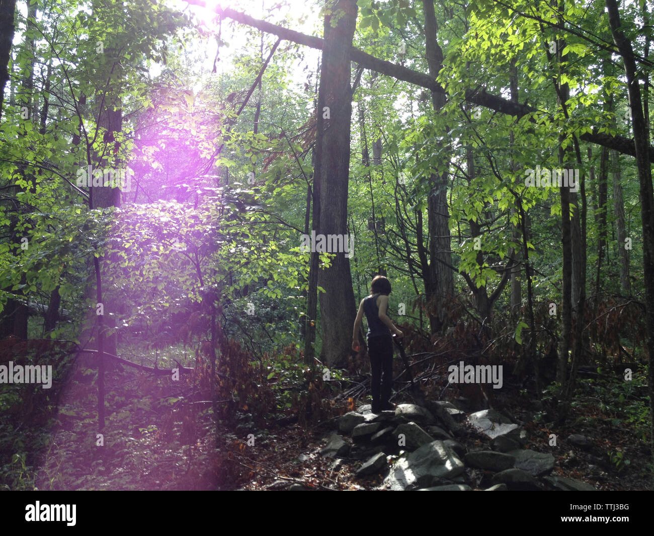 Sunrays activity hi-res stock photography and images - Alamy