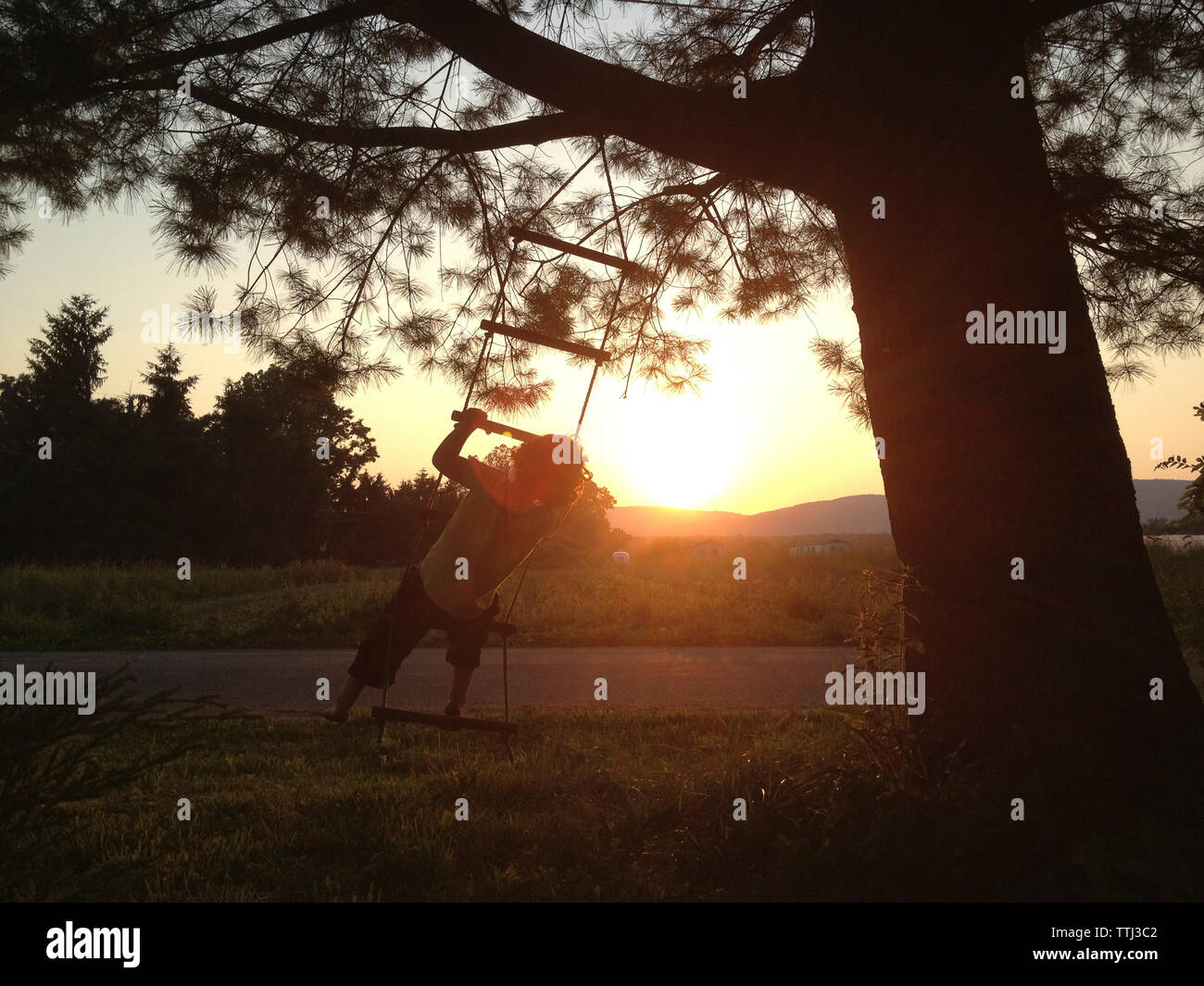 Caucasian boy climbing ladder tree hi-res stock photography and images ...