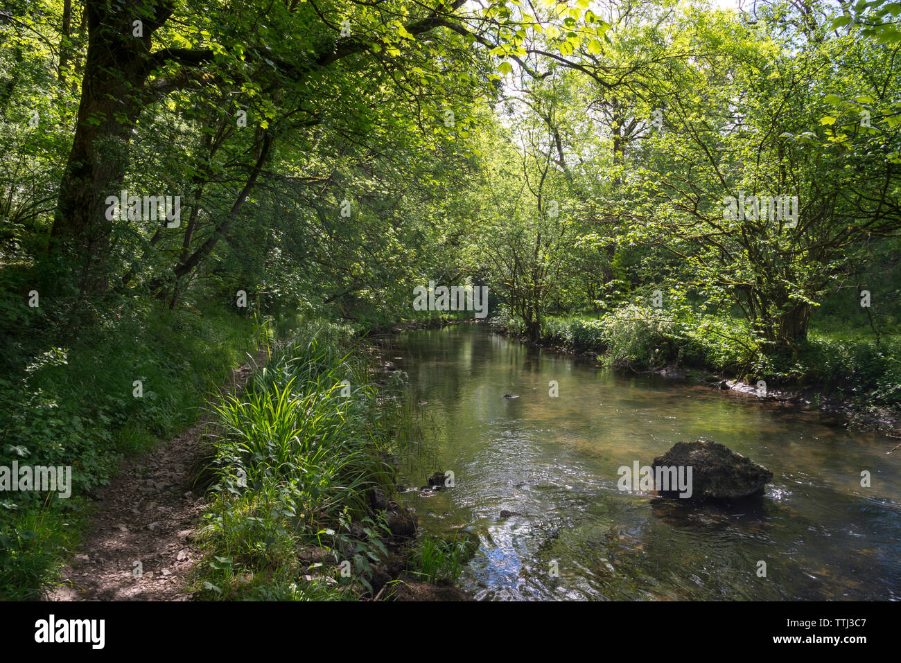 Beautiful summer day in Chee Dale near Buxton in the Peak District ...