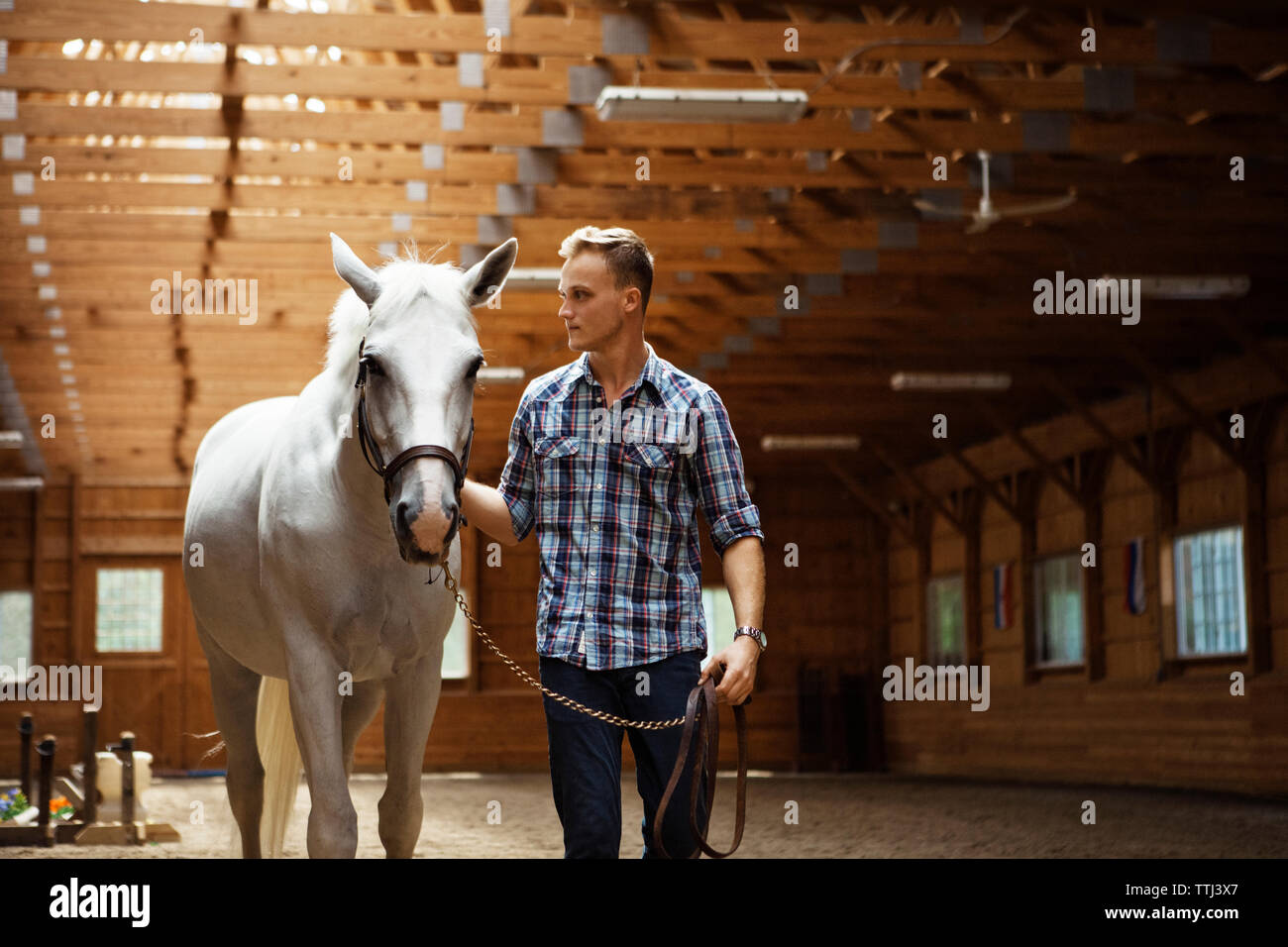 Horse trainer in stable hi-res stock photography and images - Alamy