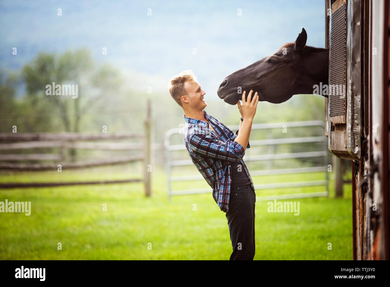 Happy rancher looking at horse peeking through stable Stock Photo - Alamy