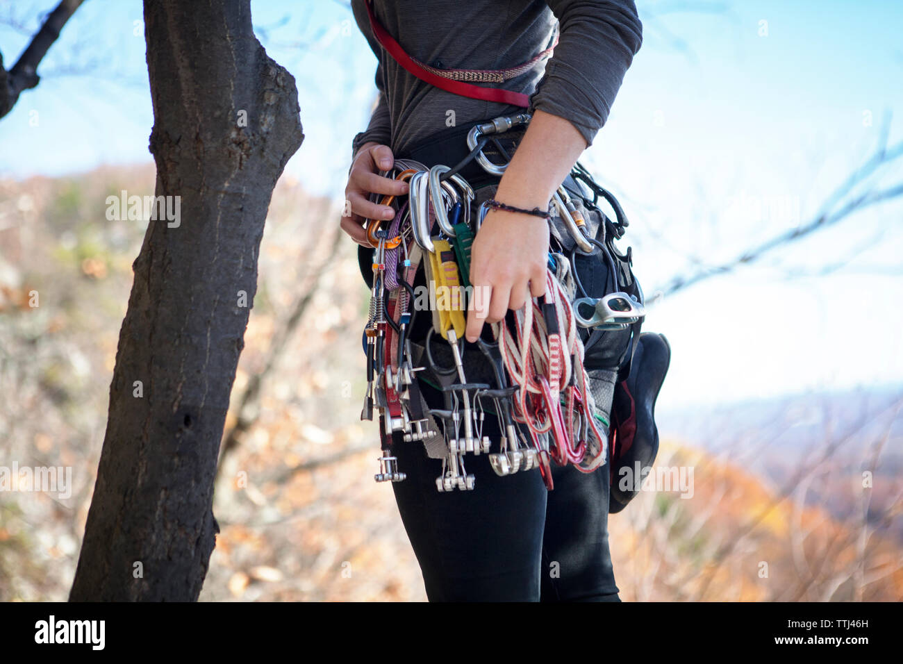 Female climbing tree trunk hi-res stock photography and images - Alamy