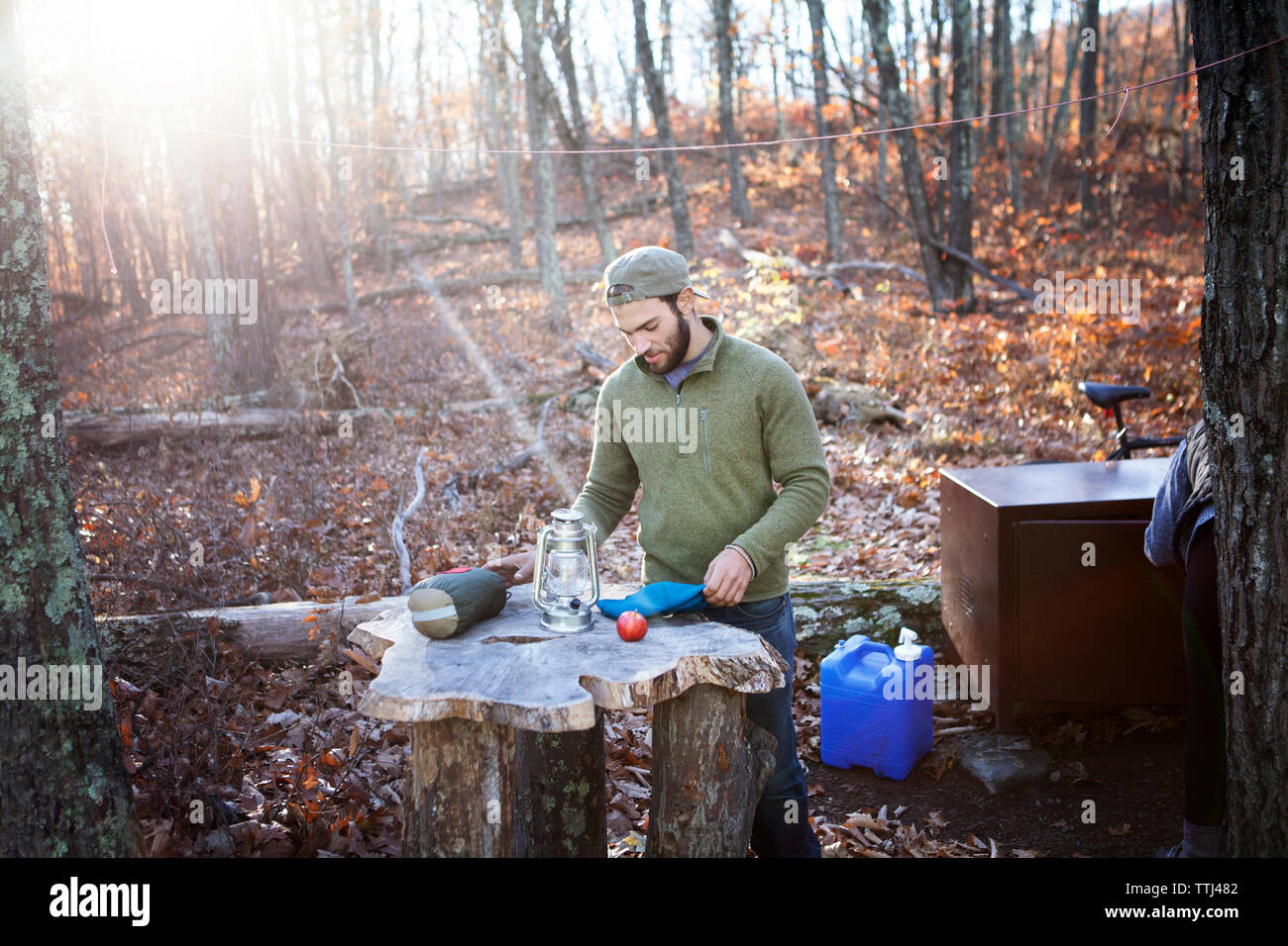 Old man tree stump hi-res stock photography and images - Alamy