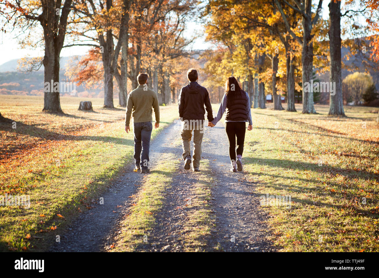 Rear view of friends walking on walkway Stock Photo - Alamy