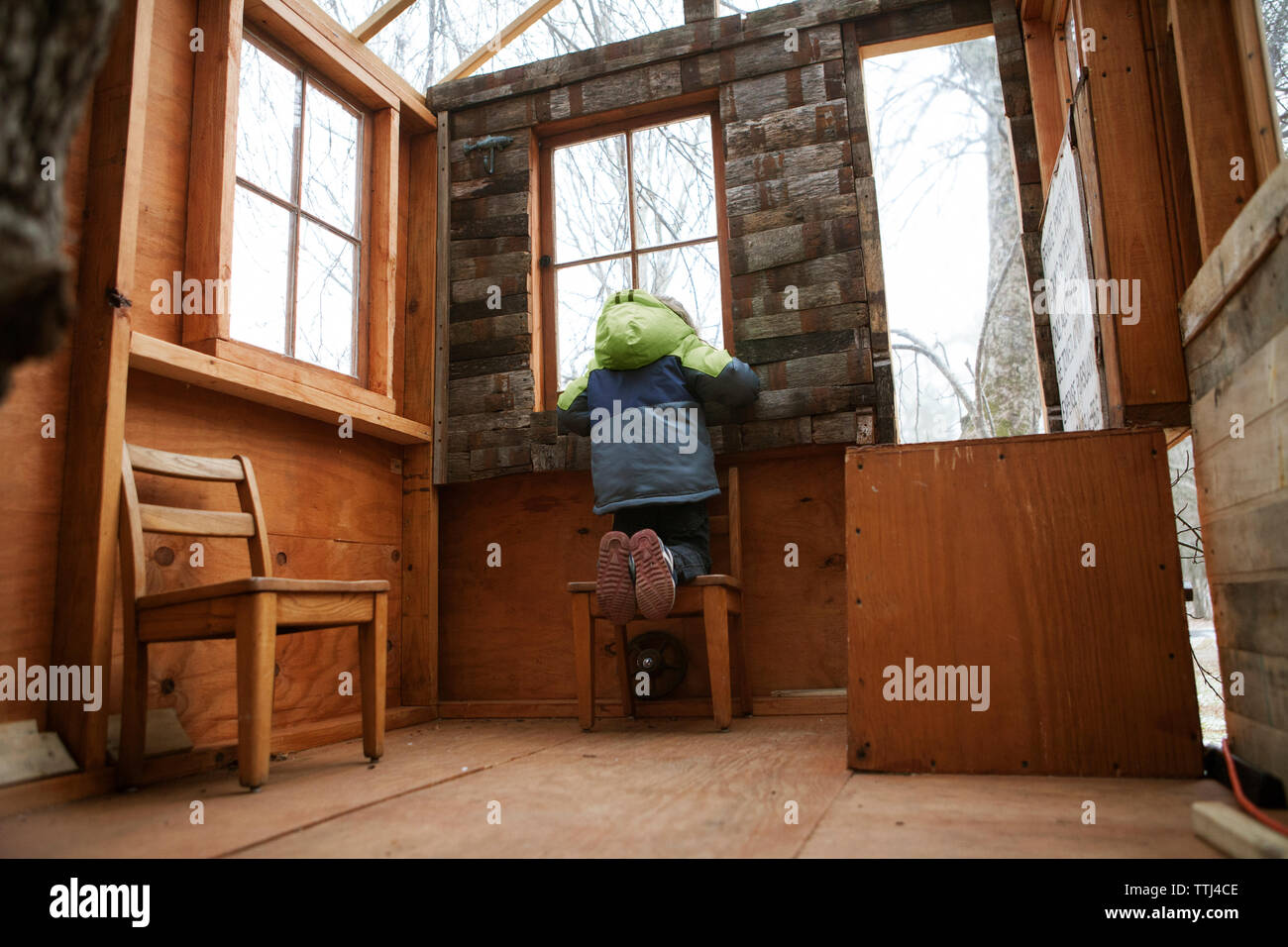 Rear view of boy looking through window while kneeling on chair in tree ...