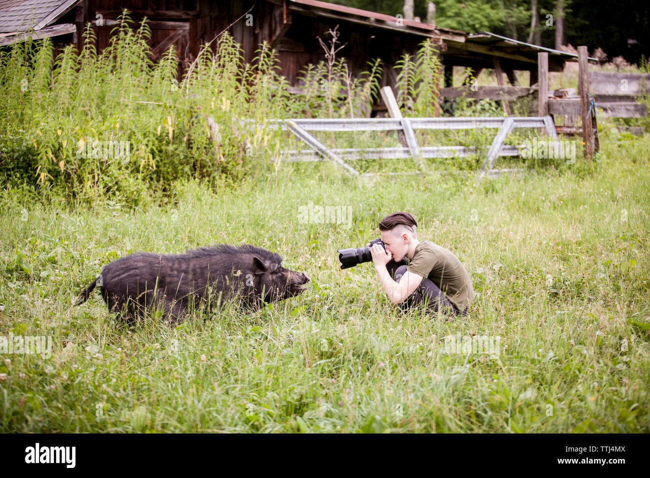 Side view of teenage boy photographing wild boar Stock Photo - Alamy