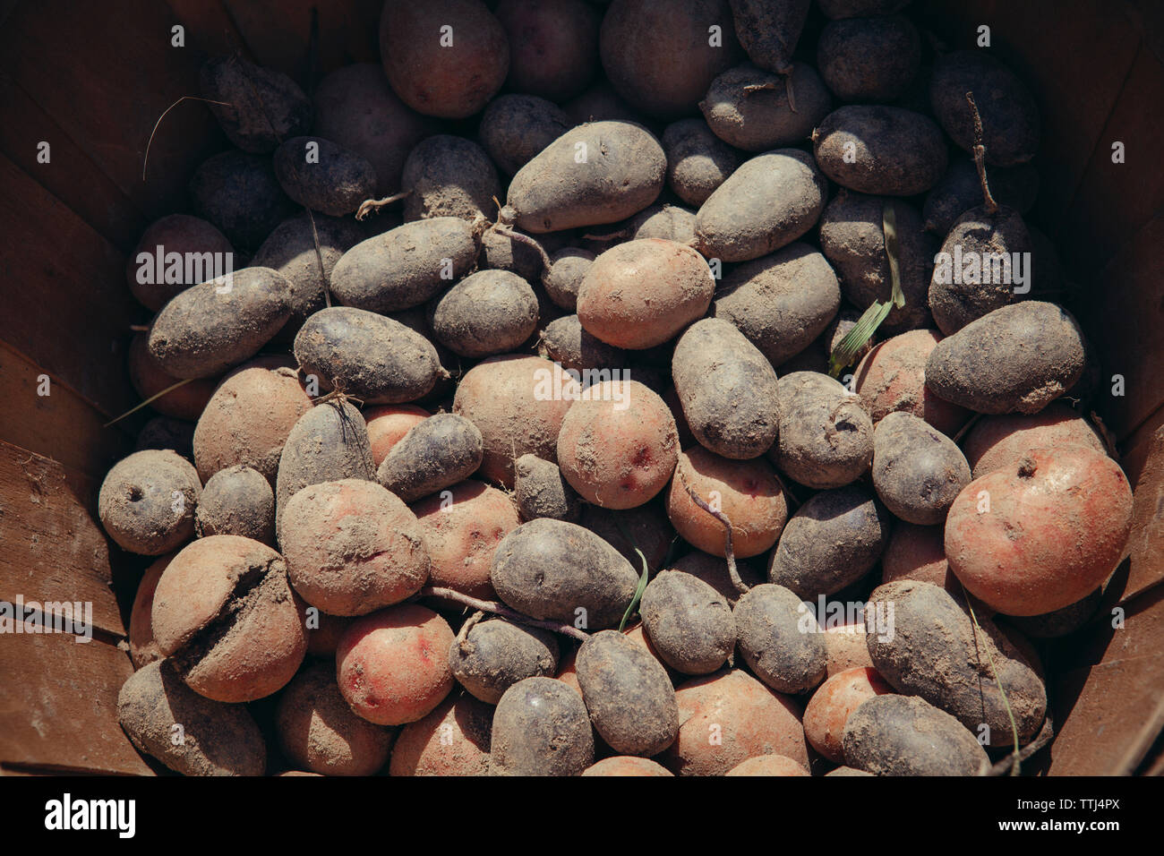 Container potatoes hi-res stock photography and images - Alamy