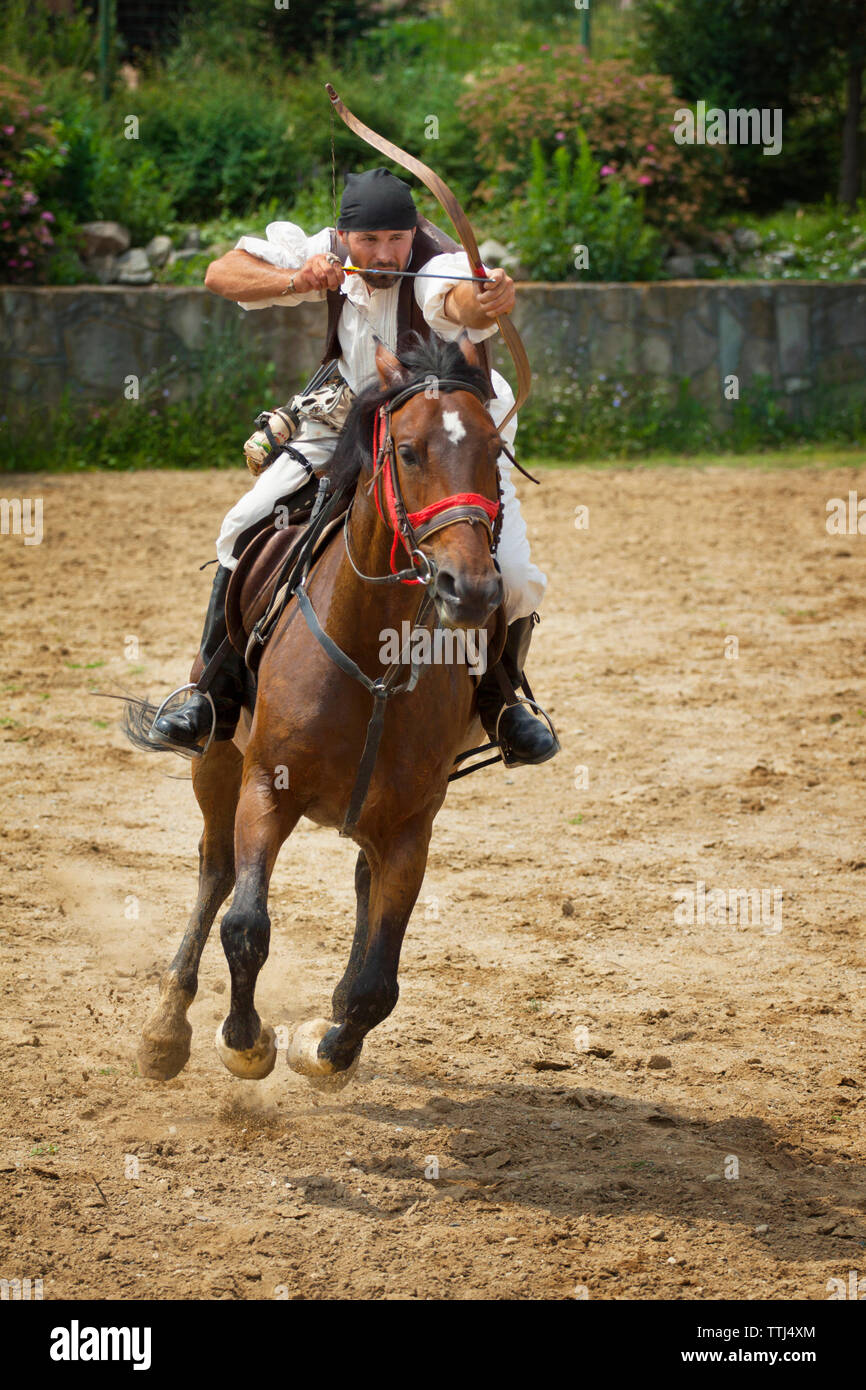 Man aiming with bow and arrow while riding horse Stock Photo - Alamy
