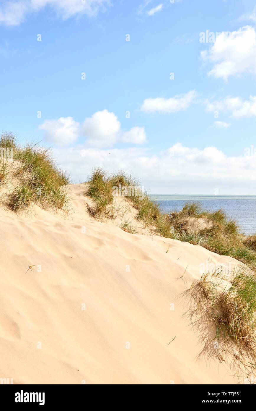 Sand dunes in Camber Sands, UK Stock Photo - Alamy