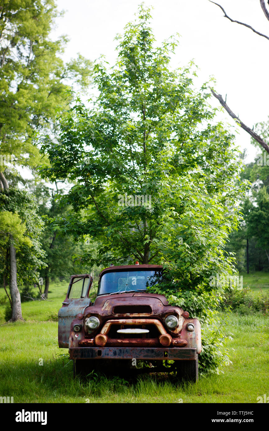 Damaged pick-up truck on grassy field Stock Photo - Alamy